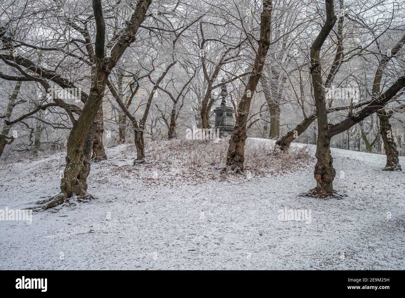 Central Park in winter after snow storm Stock Photo - Alamy