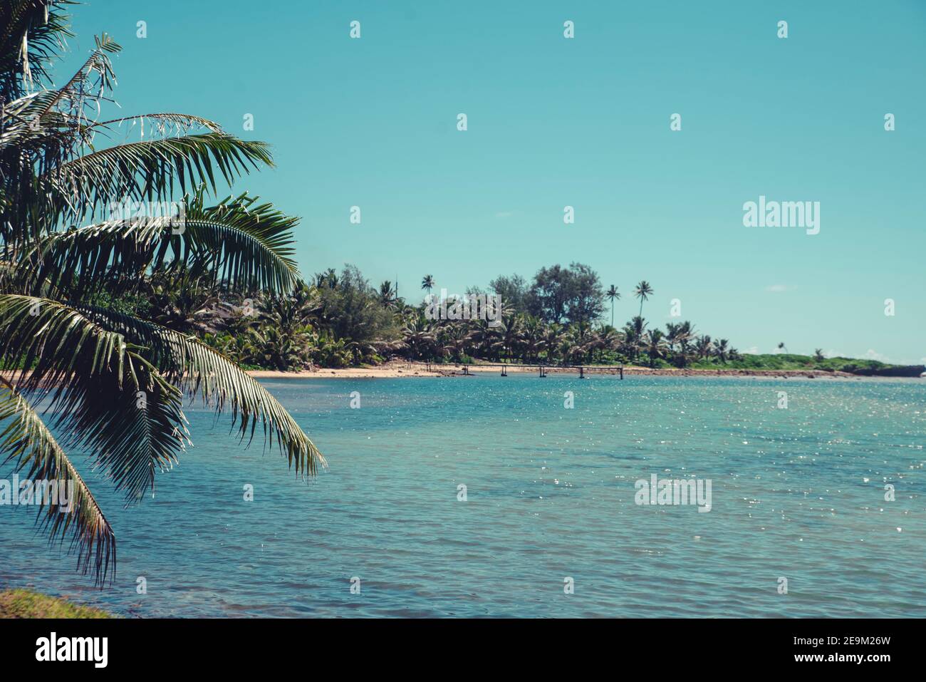 View of a beautiful tropical beach with white sand, palm trees ...