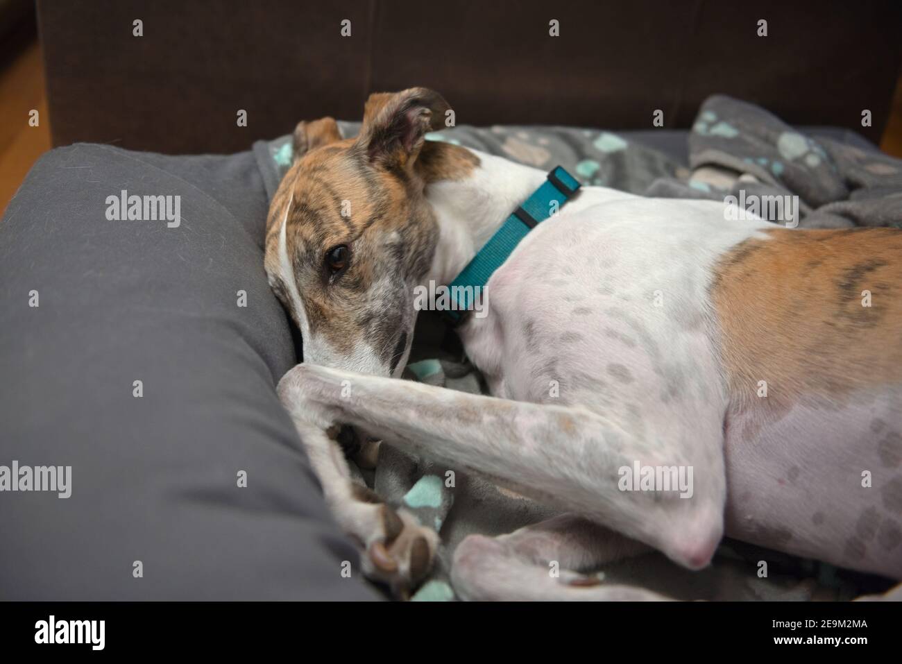 Cuddle in bed hi-res stock photography and images - Alamy