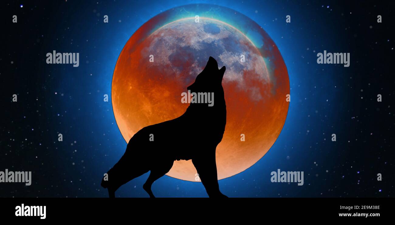 Silhouette illustration of a howling wolf against the gleaming moon in ...