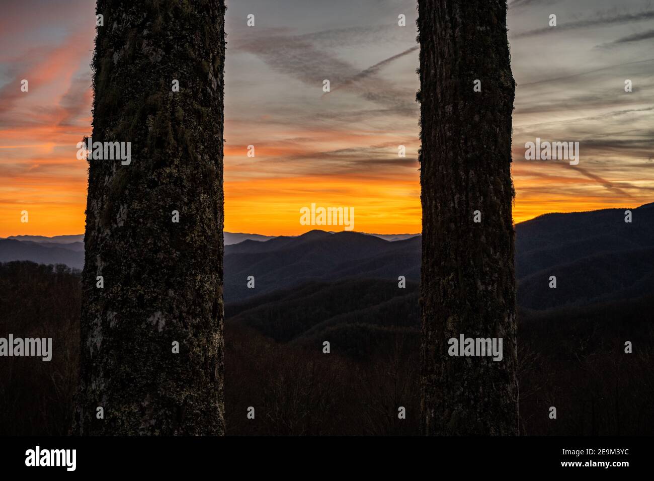 Sunset Between Two Trees at overlook in Great Smoky Mountains National ...