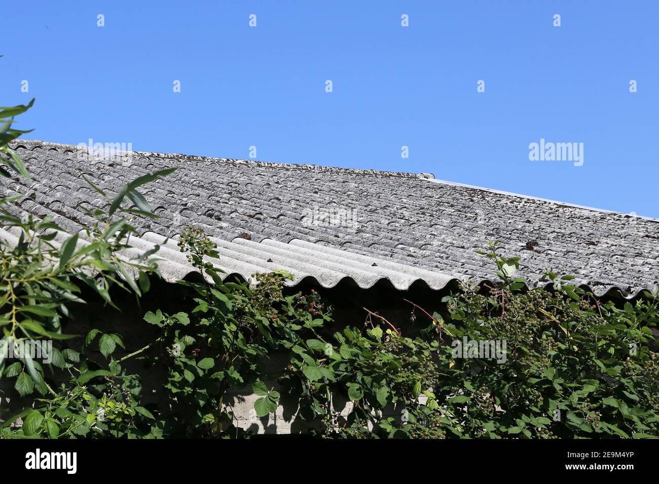 Asbestos roof on an old commercial or industrial building Stock Photo ...