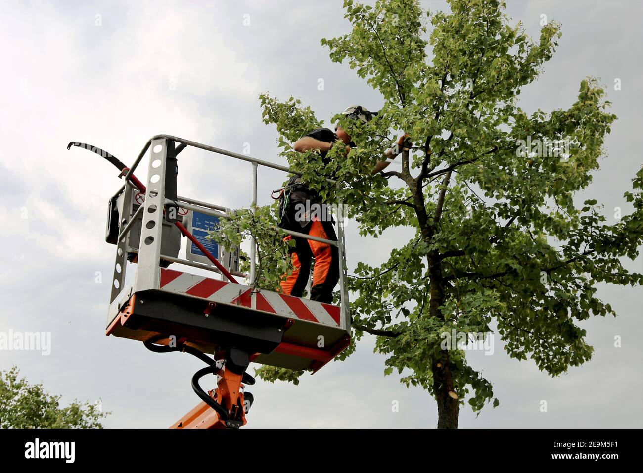 Workers on the working platform during tree cutting or tree maintenance ...