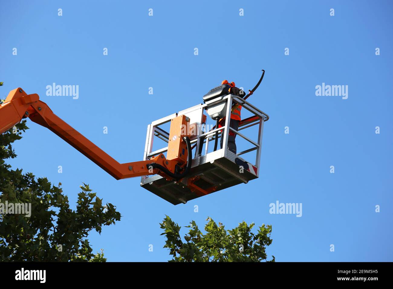Workers on the working platform during tree cutting or tree maintenance ...