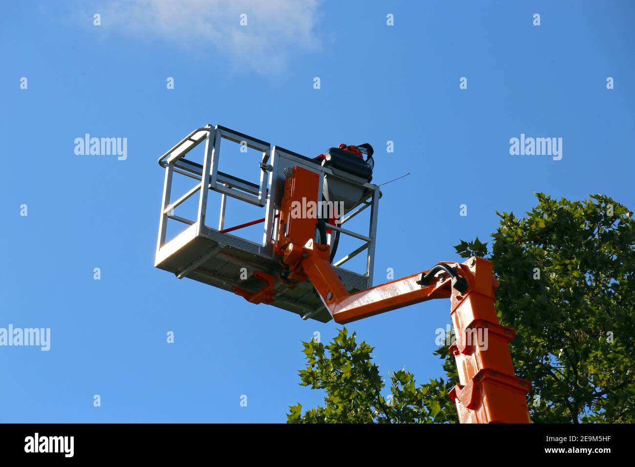 Workers on the working platform during tree cutting or tree maintenance ...