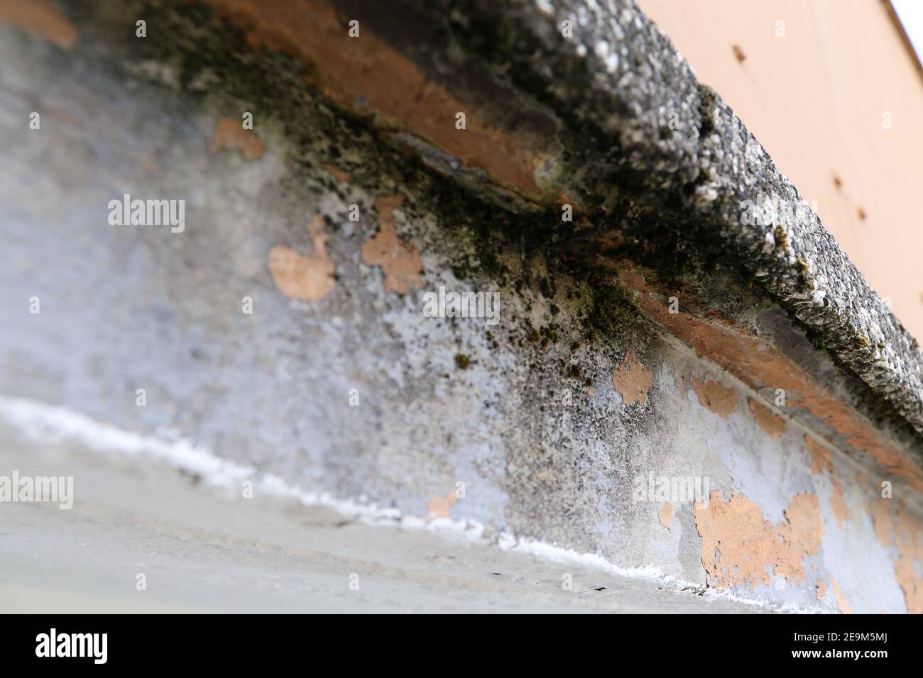 Concrete degradation hi-res stock photography and images - Alamy