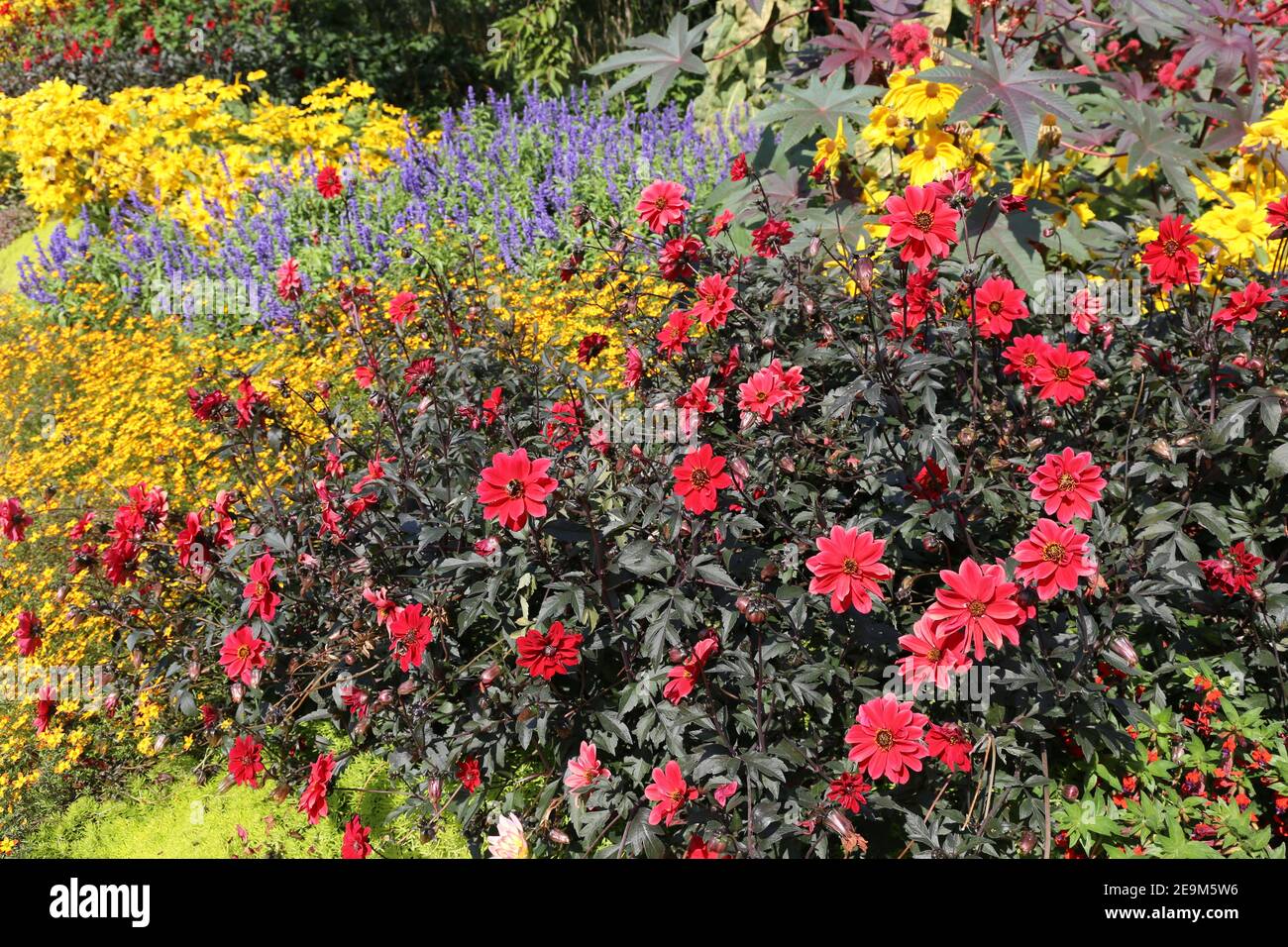 Neat and tidy flower garden Stock Photo - Alamy