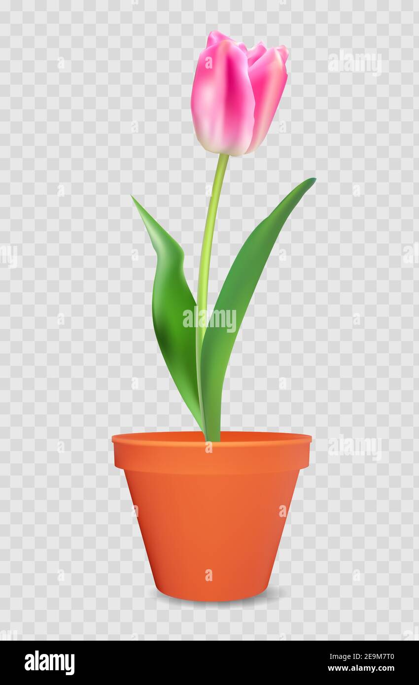 Live flowers Stock Vector Images - Alamy