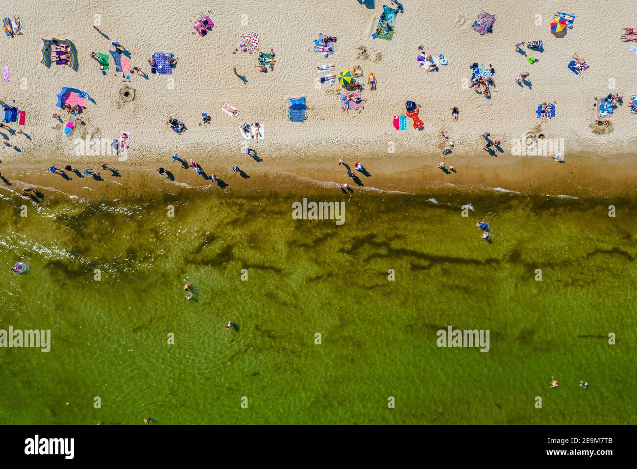Crowded beach during summertime top down aerial view Stock Photo - Alamy