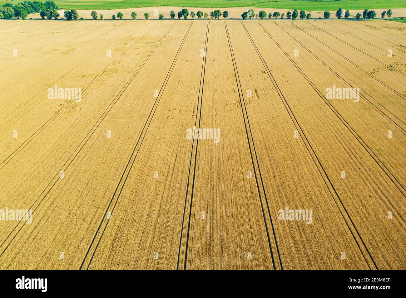 Aerial view of ripe field of grain ready to harvest Stock Photo - Alamy