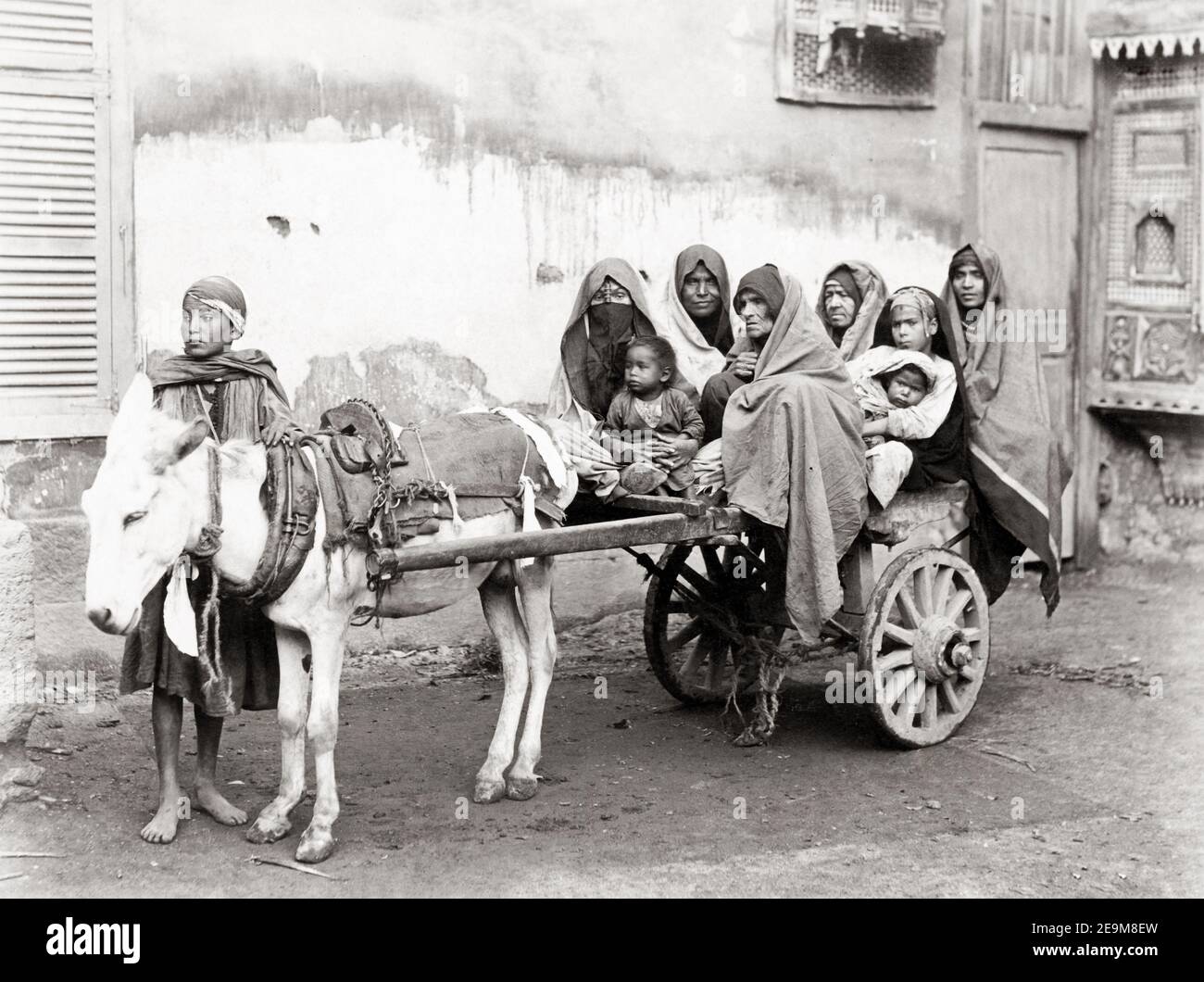 Late 19th century photograph - Donkey and cart with passengers, Cairo ...