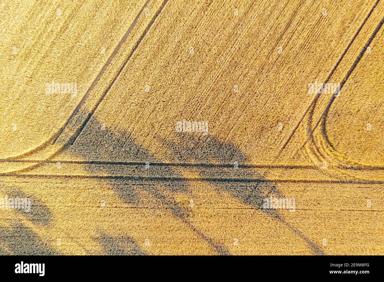 Aerial view of ripe field of grain ready to harvest Stock Photo - Alamy
