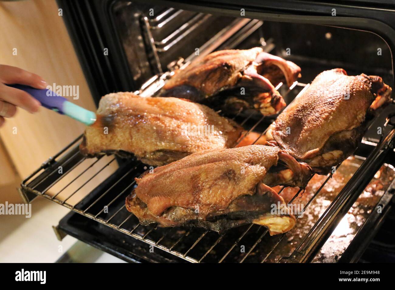 St martin goose hi-res stock photography and images - Alamy