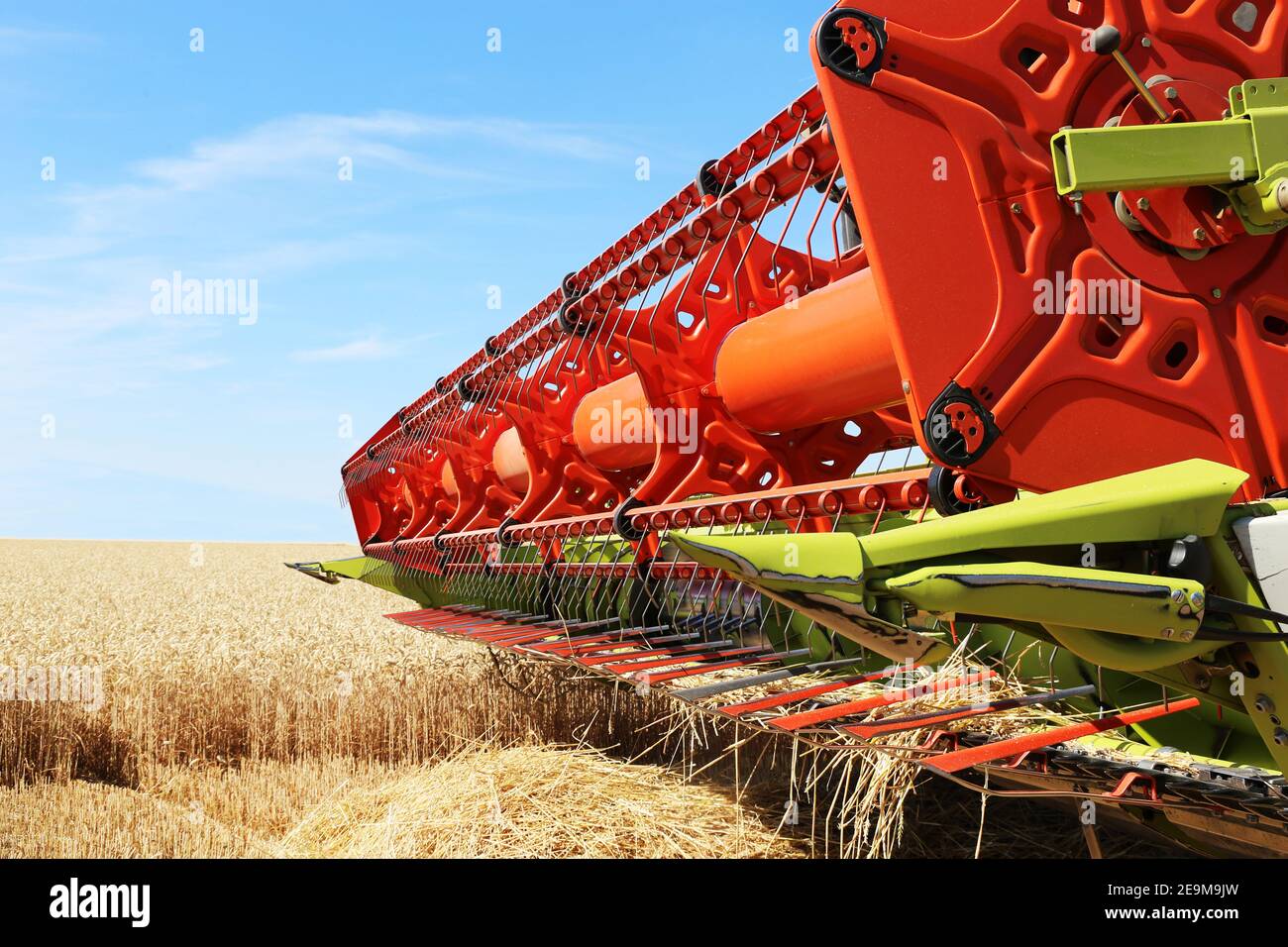 Agricultural cereal harvest with with combine harvester (Germany Stock ...