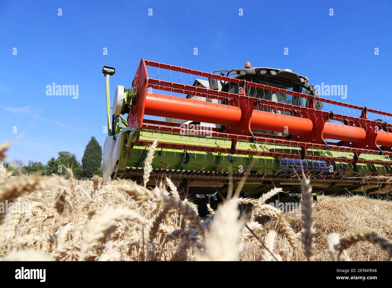 Agricultural cereal harvest with with combine harvester (Germany Stock ...