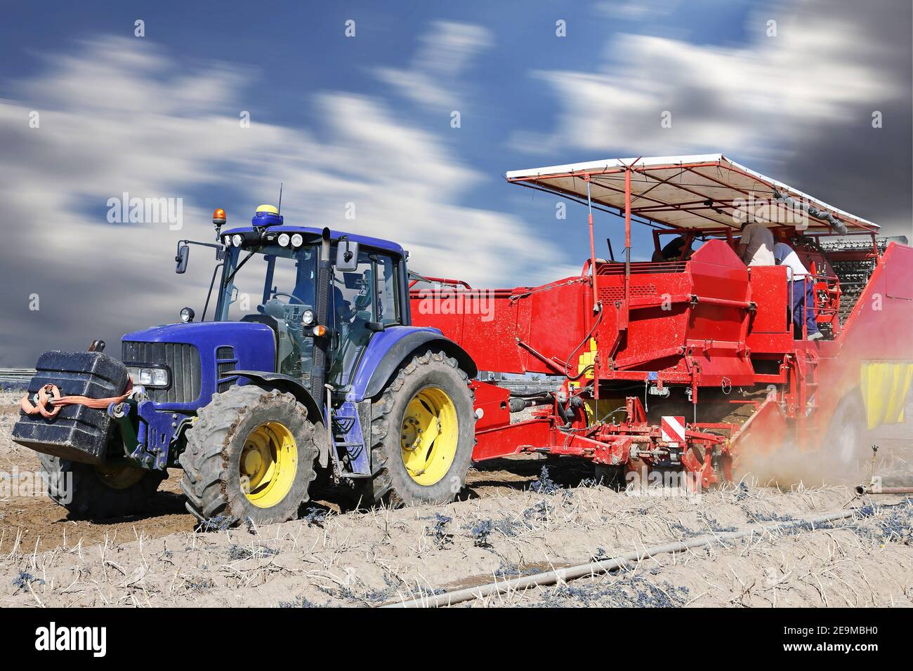 Tractor with harvester at the potato crop Stock Photo - Alamy