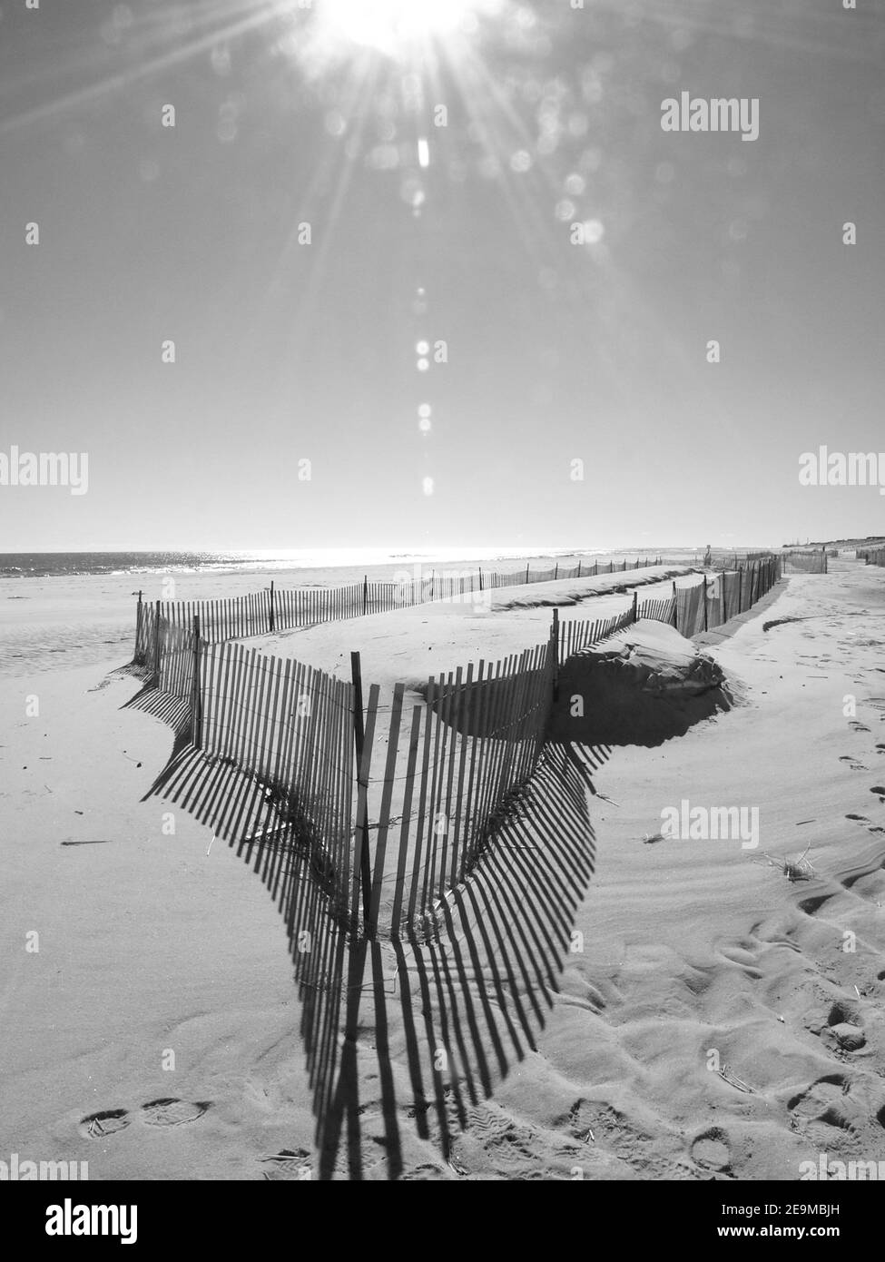 New Jersey shore black and white images of snow fences and patterns ...