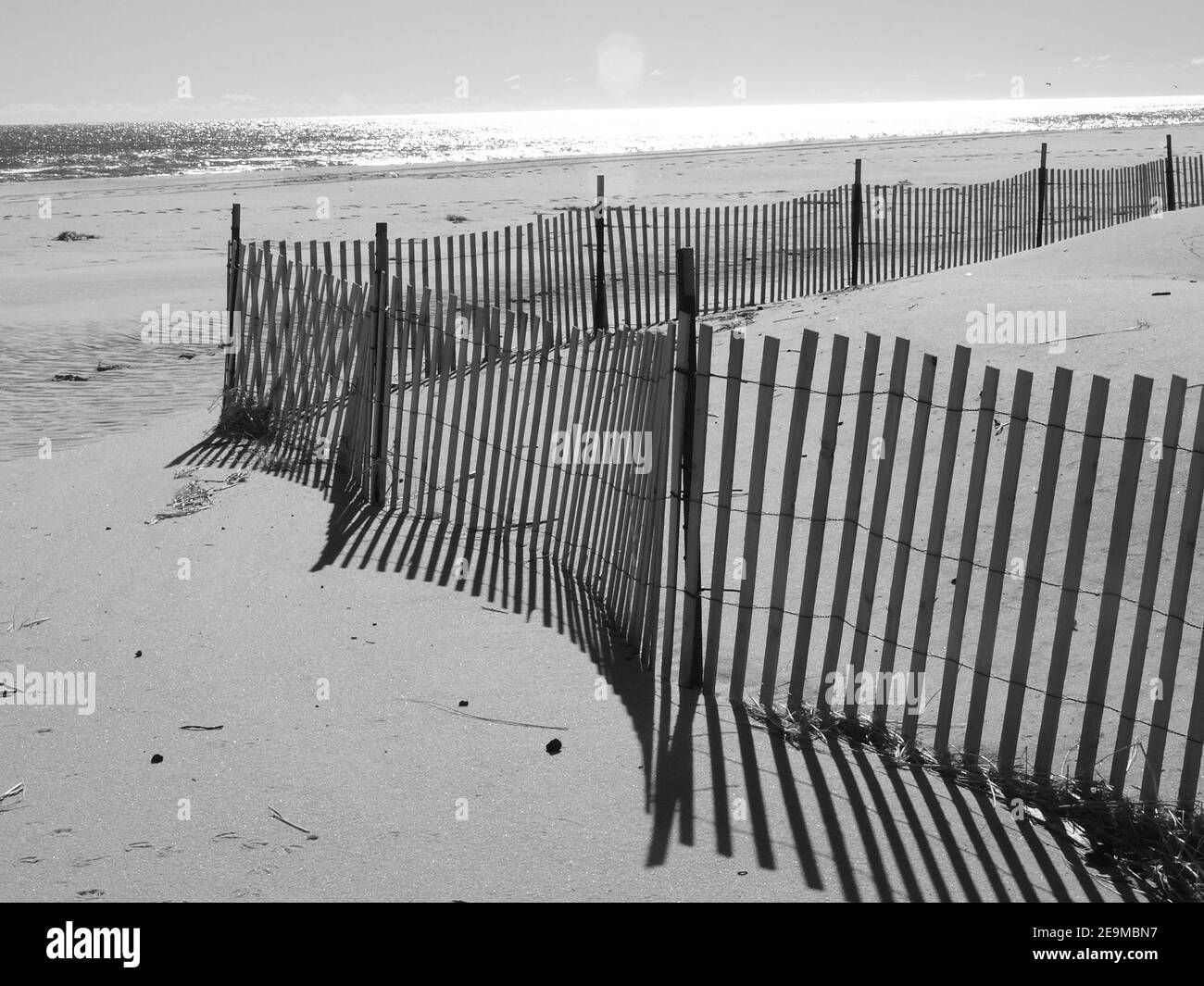 New Jersey shore black and white images of snow fences and patterns ...