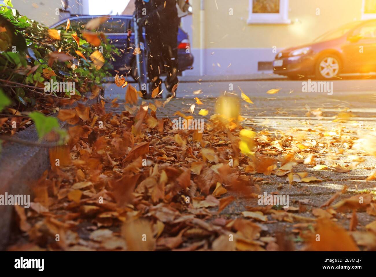Worker clear leaves in autumn Stock Photo - Alamy
