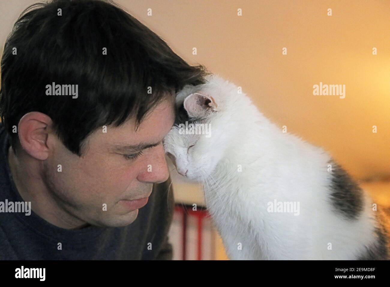 Symbol image: A man with his cat (model released Stock Photo - Alamy