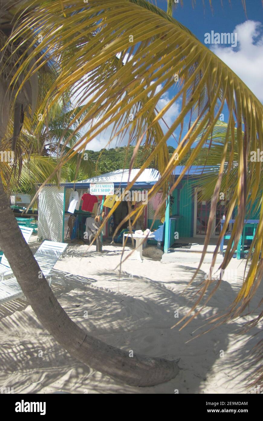 Shack shop on a beach and a palm tree Stock Photo - Alamy