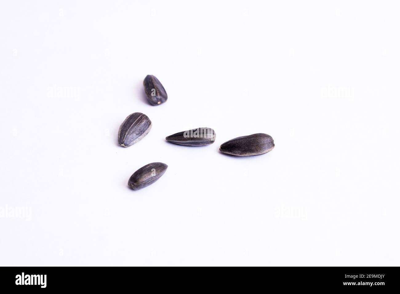 Three sunflower seeds isolated on a white background Stock Photo - Alamy