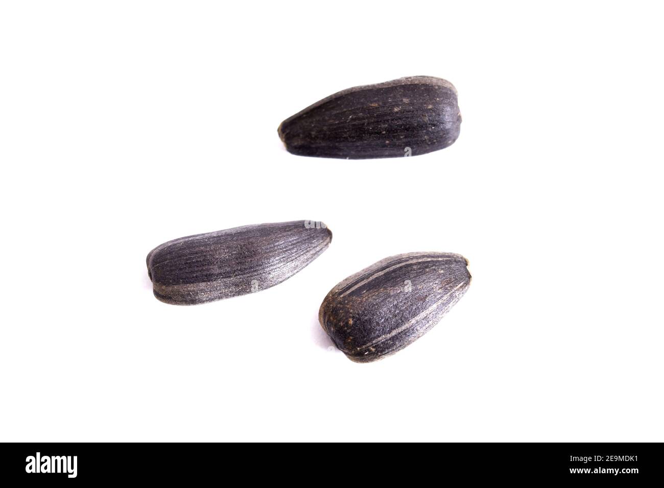 Three sunflower seeds isolated on a white background Stock Photo - Alamy