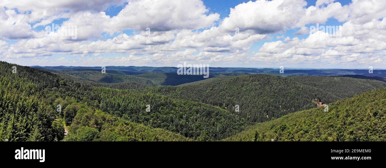 Panorama of the Palatinate Forest, largest contiguous forest area in ...