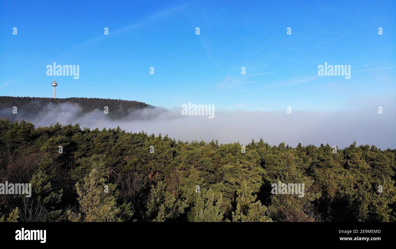 Panorama of the Palatinate Forest, largest contiguous forest area in ...