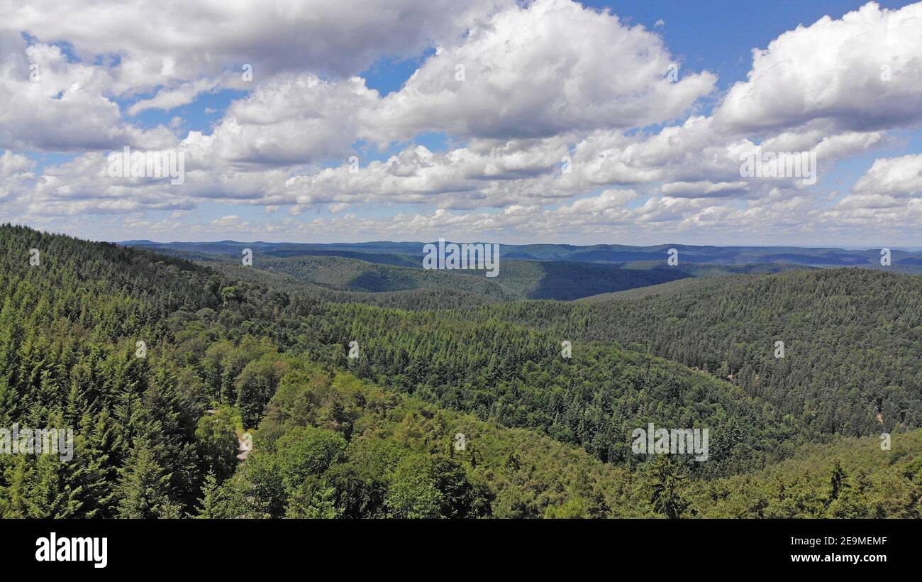 Panorama of the Palatinate Forest, largest contiguous forest area in ...