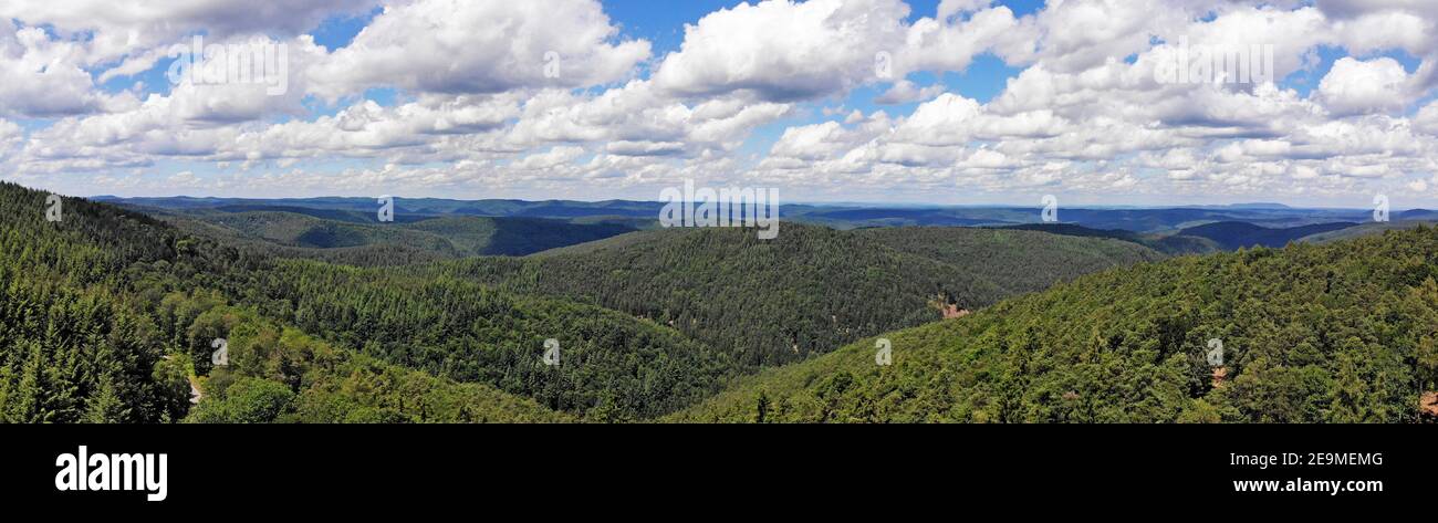 Panorama of the Palatinate Forest, largest contiguous forest area in ...