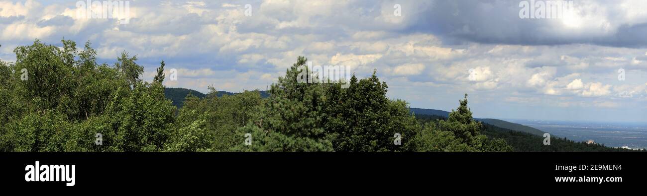 Panorama of the Palatinate Forest, largest contiguous forest area in ...