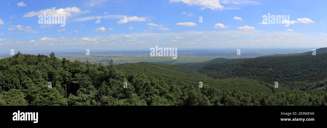 Largest forest in europe hi-res stock photography and images - Alamy