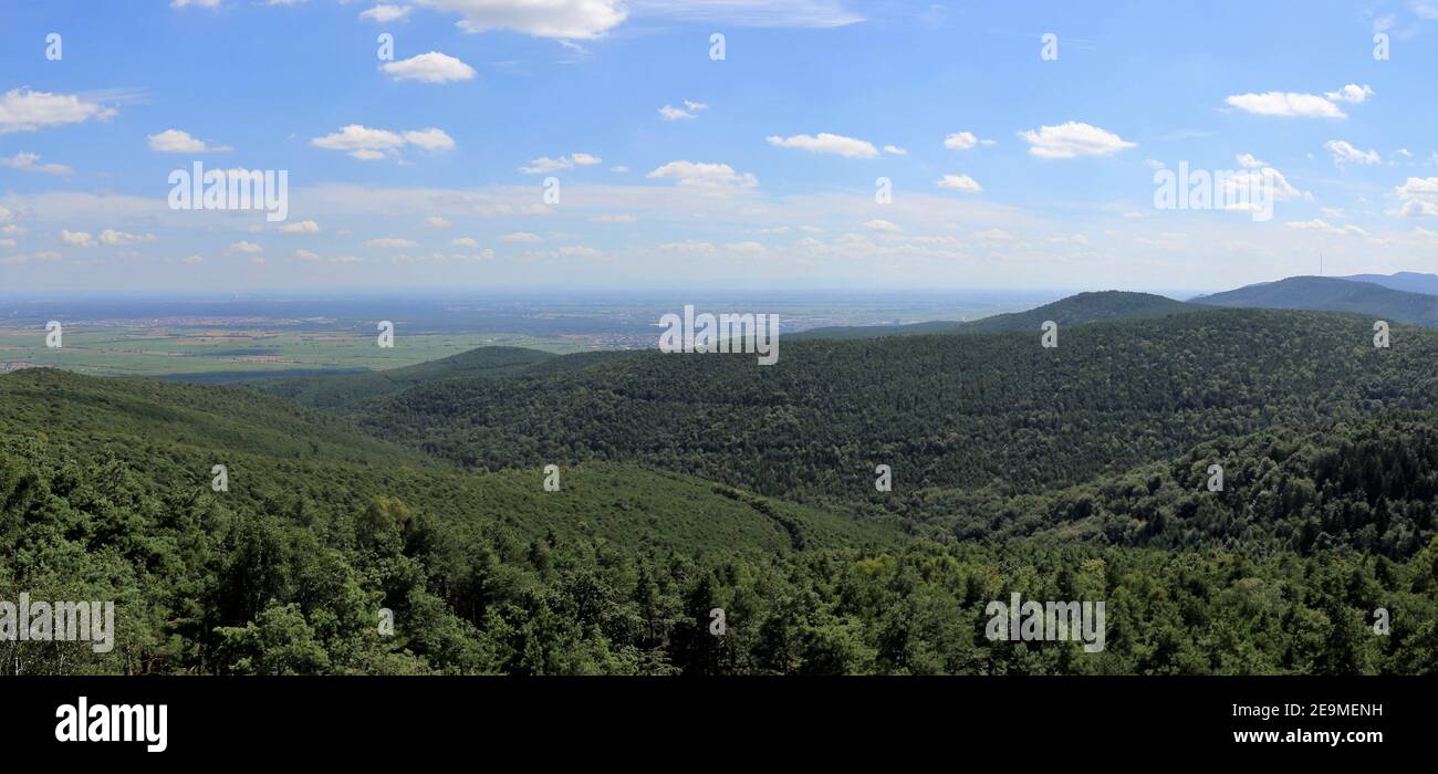 Panorama of the Palatinate Forest, largest contiguous forest area in ...