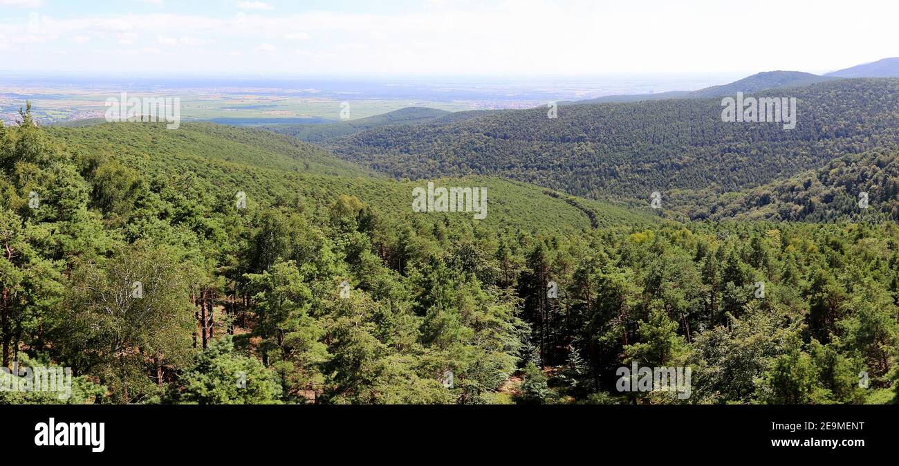 Panorama of the Palatinate Forest, largest contiguous forest area in ...