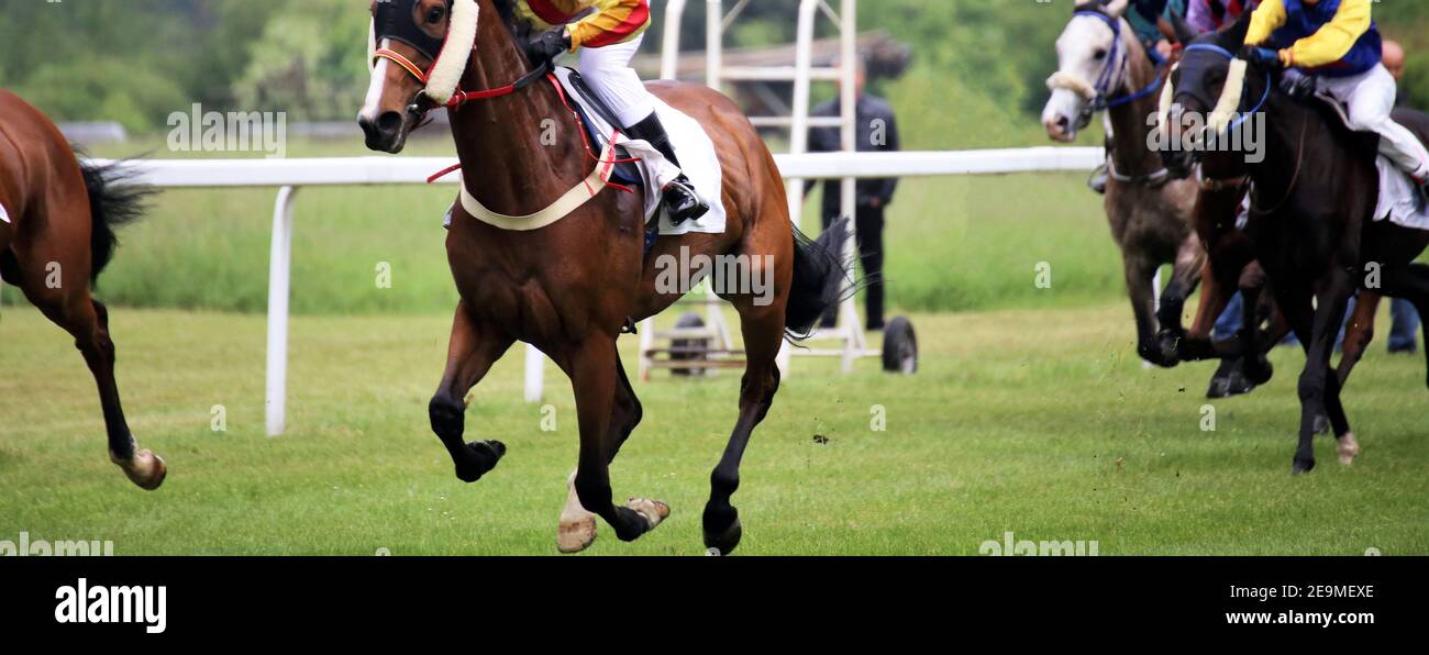 Symbol image: Detail view of a gallop race Stock Photo - Alamy