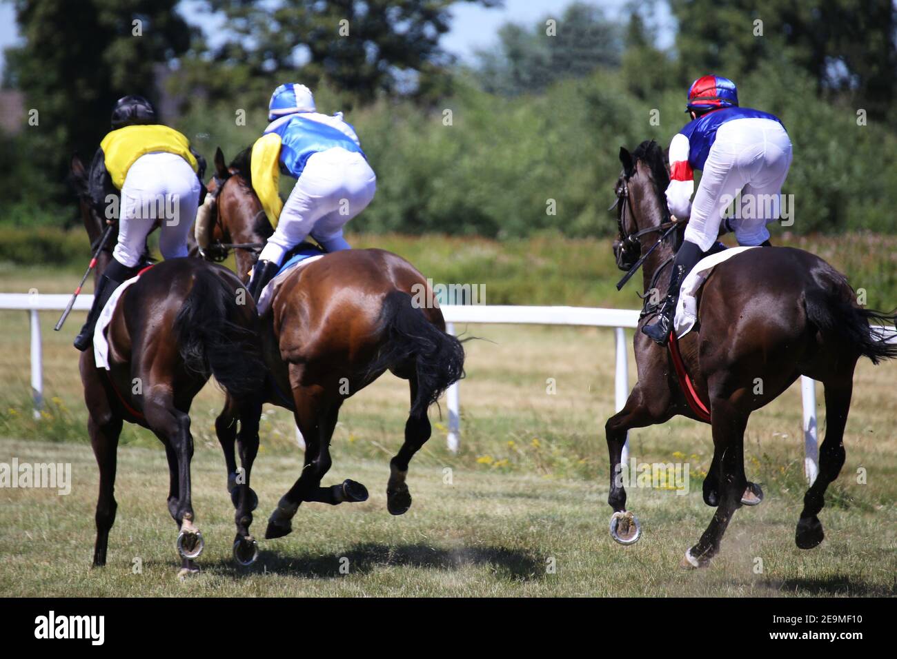 Symbol image: Detail view of a gallop race Stock Photo - Alamy