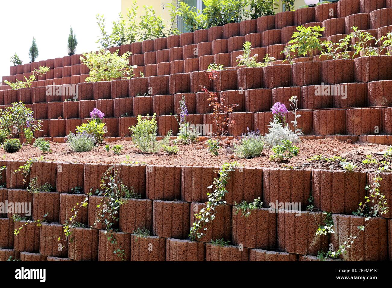 Planting rings on a slope garden Stock Photo - Alamy