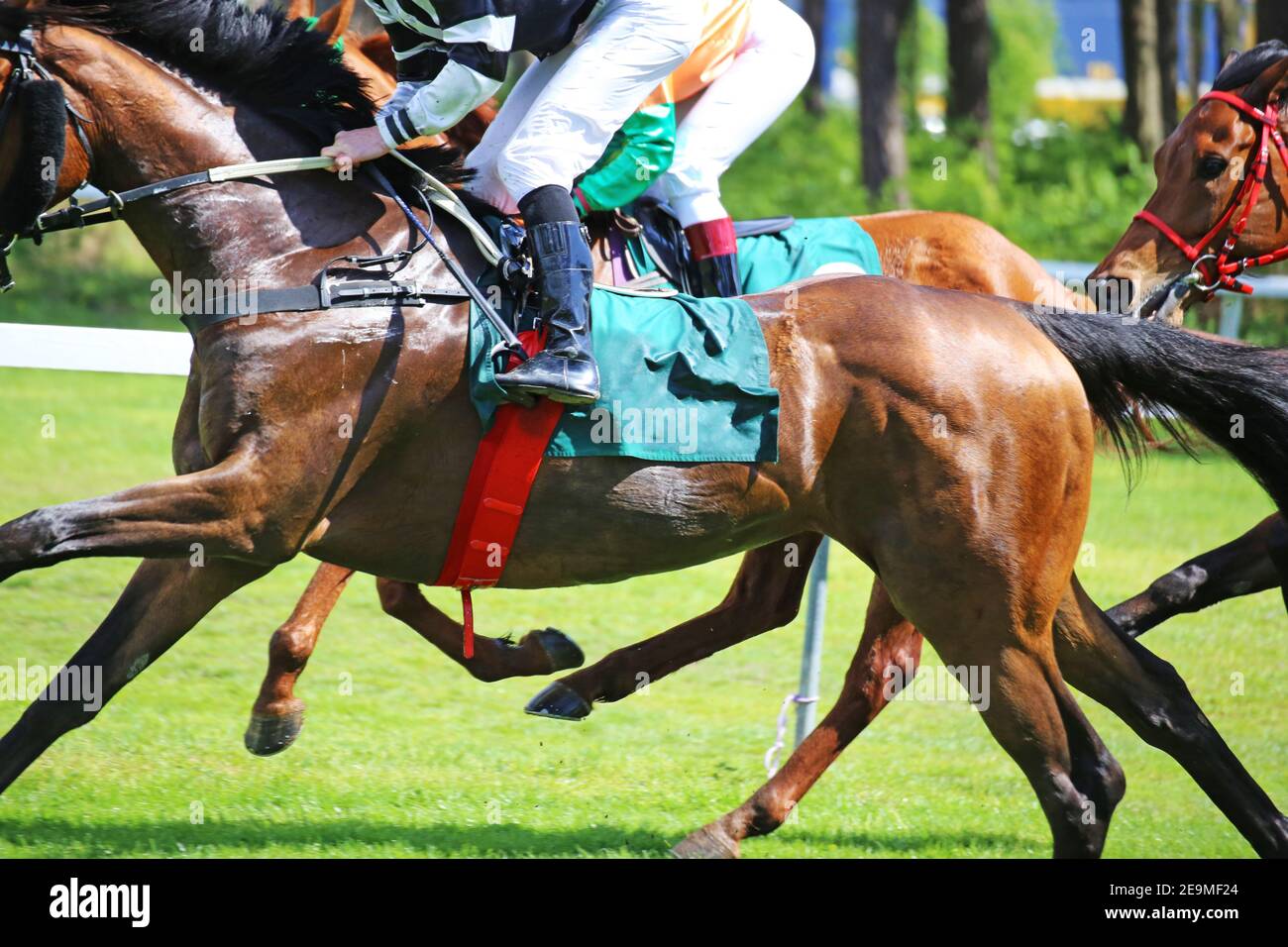 Symbol image: Detailed shot of a horse race Stock Photo - Alamy