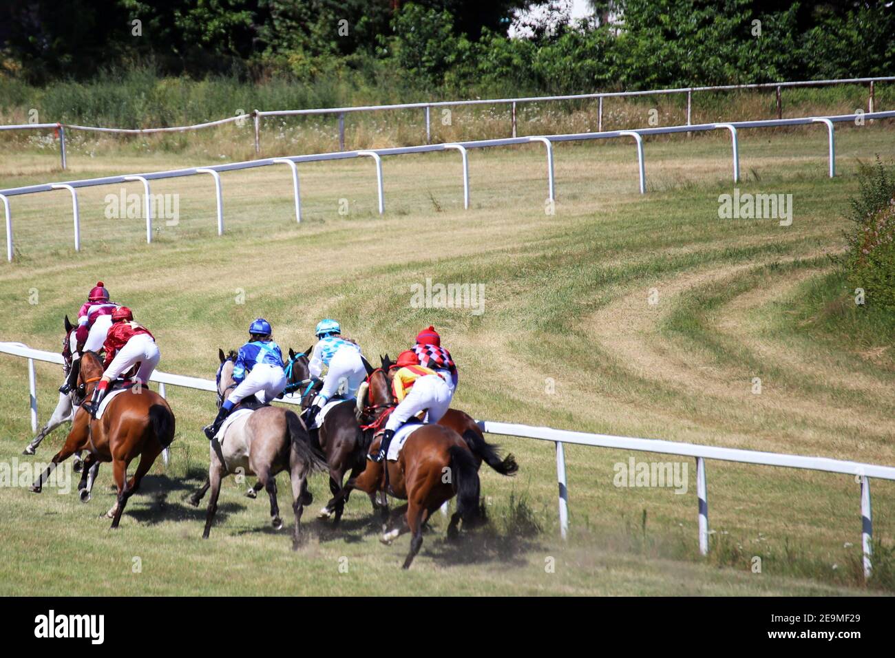 Symbol image: Detail view of a gallop race, Hassloch, Germany ...