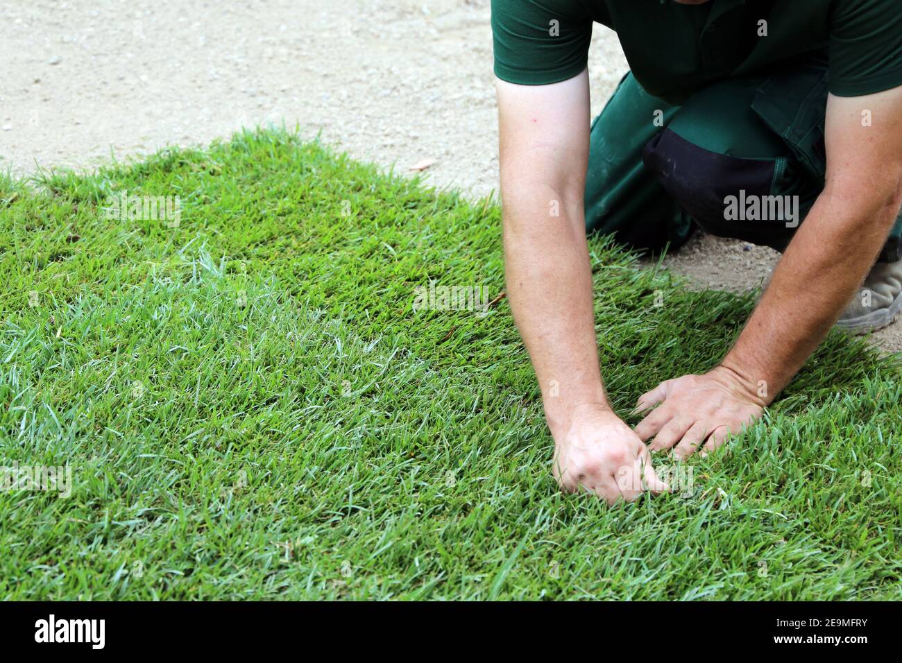 Gardener laying rolled turf in a back yard Stock Photo - Alamy