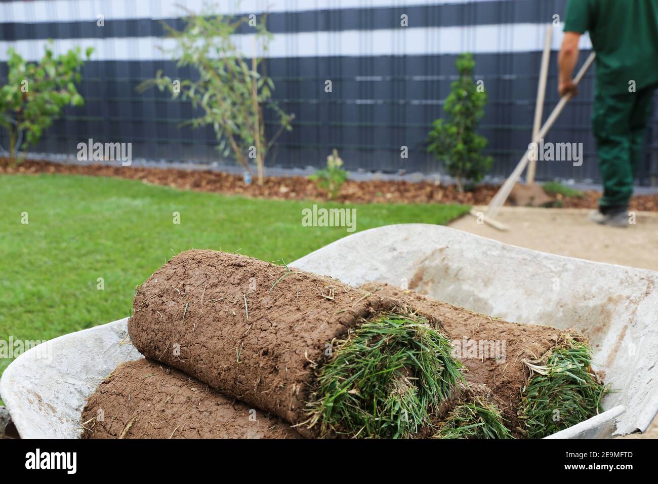 Man laying turf in garden hi-res stock photography and images - Alamy