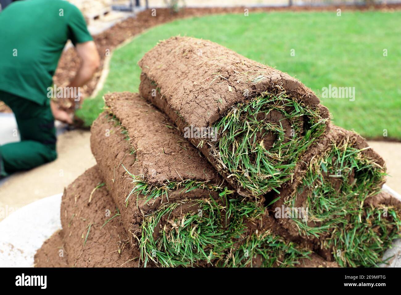 Gardener laying rolled turf in a back yard Stock Photo - Alamy
