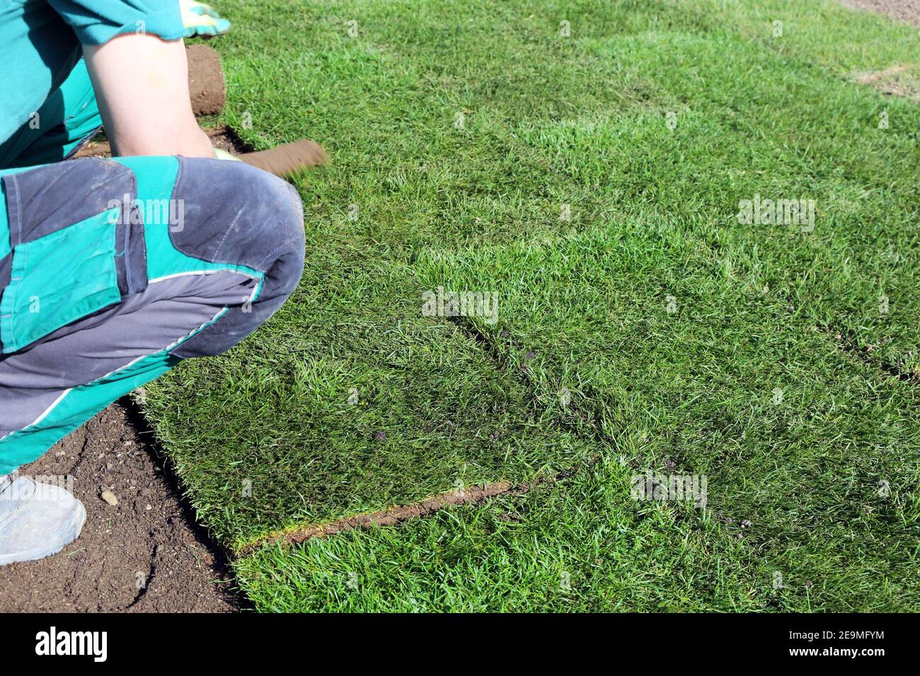 Gardener laying rolled turf in a back yard Stock Photo - Alamy