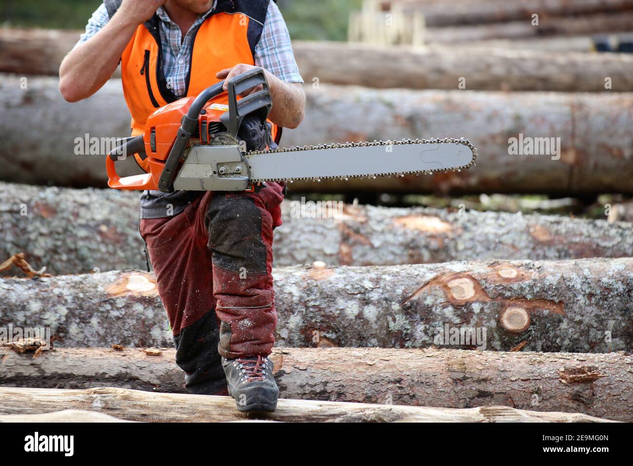 Forestry worker cutting wood, Germany Stock Photo - Alamy