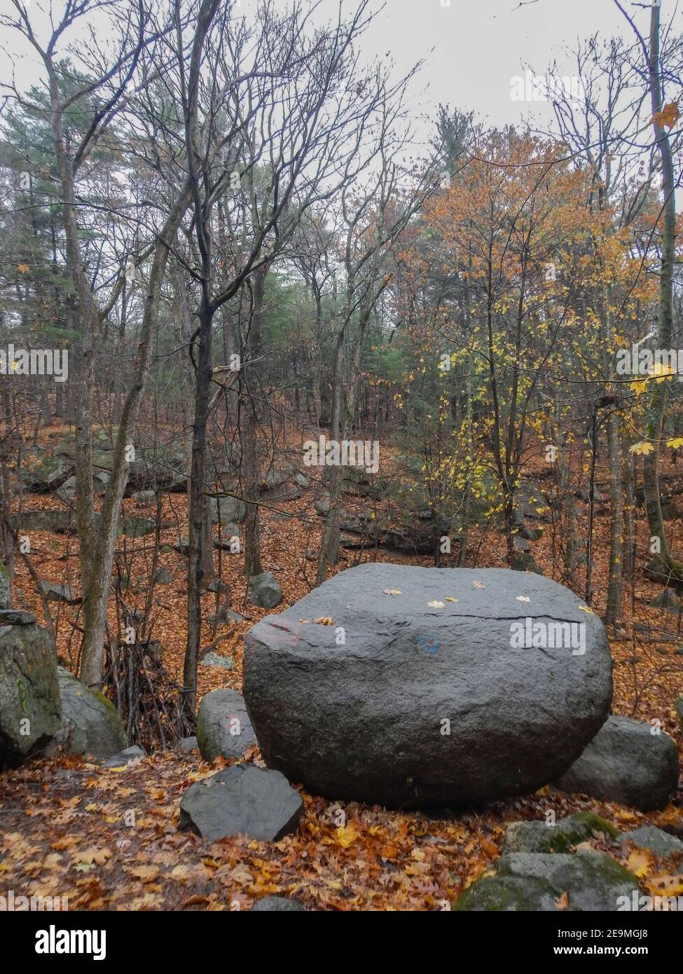 Rock and Trees Stock Photo - Alamy