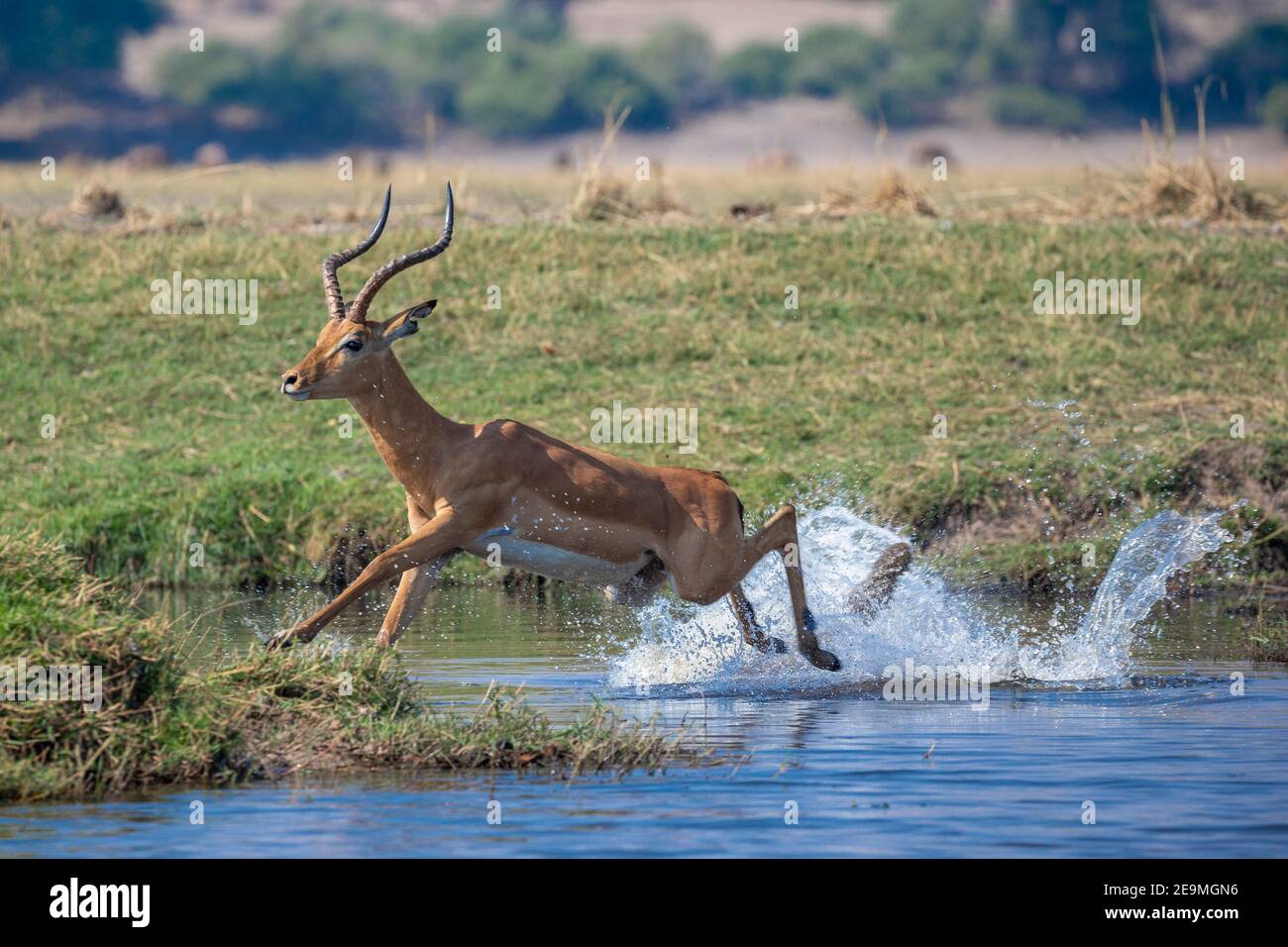 Running through water splash hi-res stock photography and images - Alamy