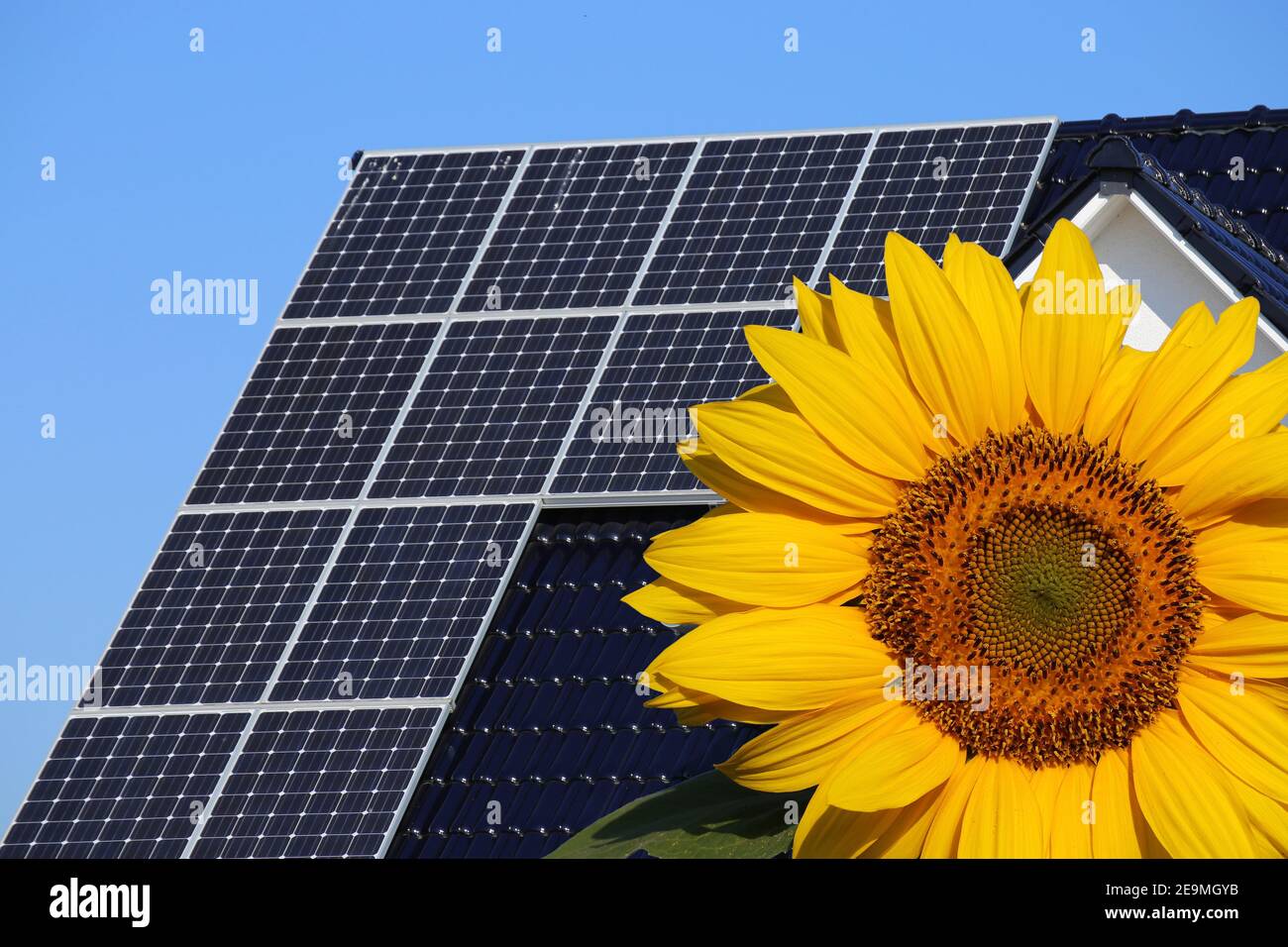 Symbol image: Solar roof (photovoltaics)with sunflower in the ...