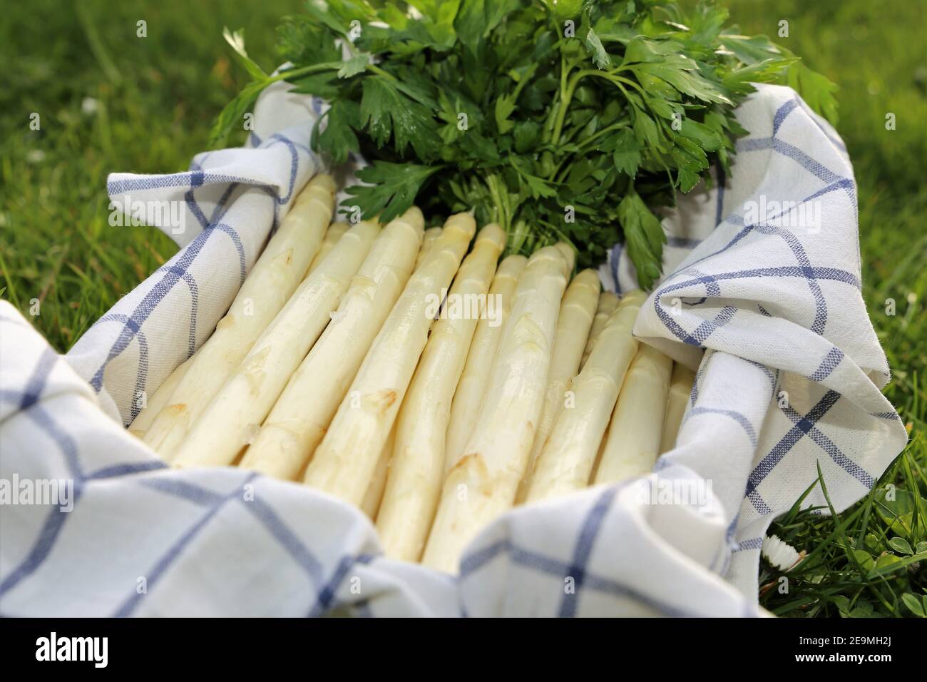 Asparagus in a box hi-res stock photography and images - Alamy
