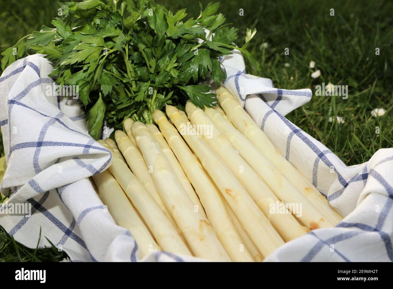 Asparagus in a box hi-res stock photography and images - Alamy